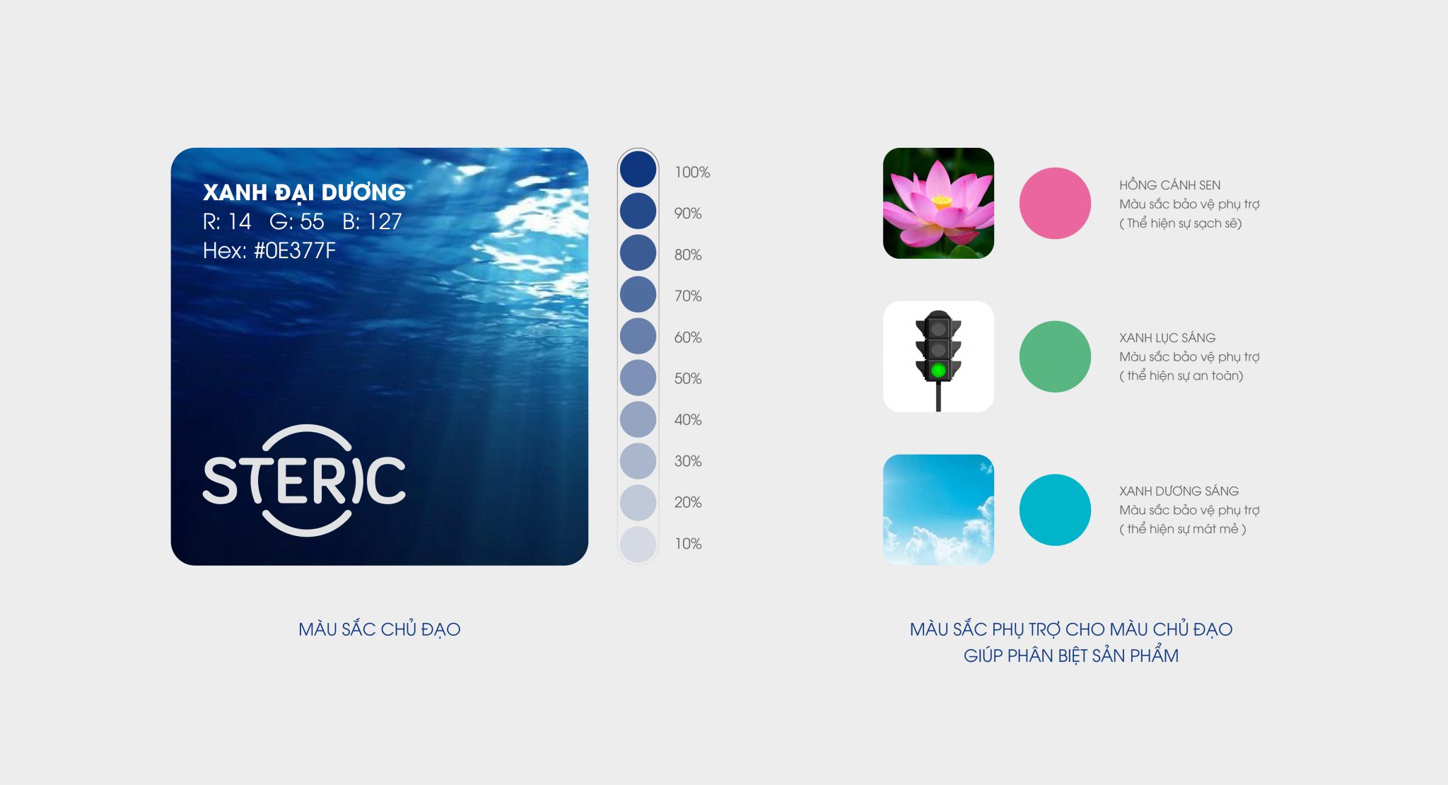 THIẾT KẾ LOGO STERIC